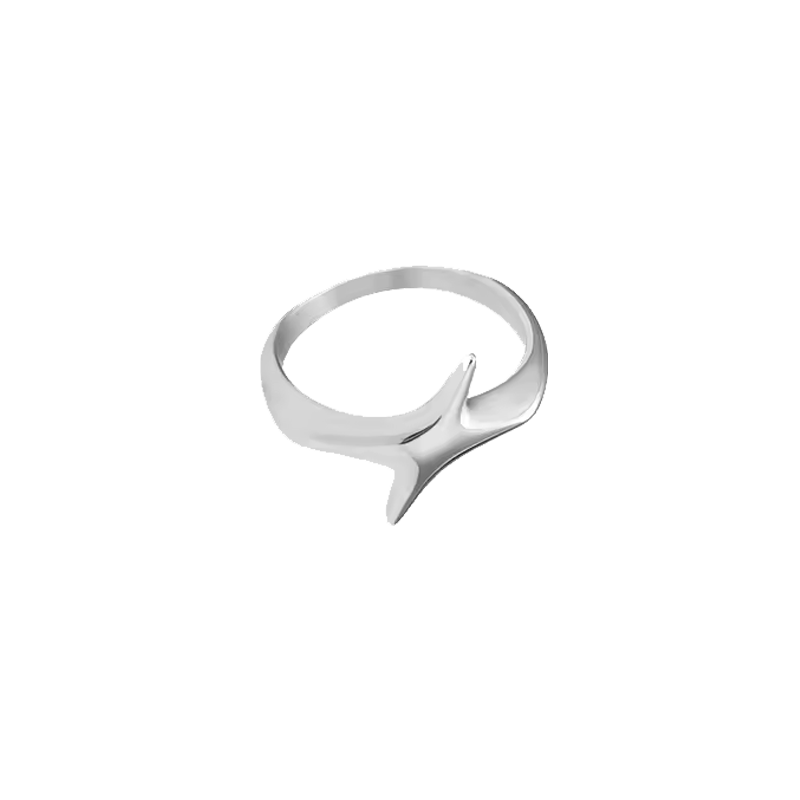 Northstar Ring – CHASING