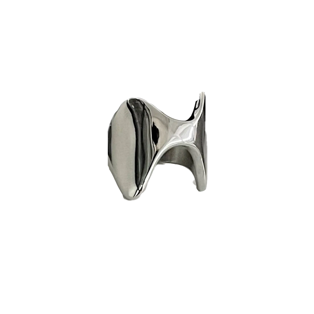 Fragment(3) Ring – CHASING